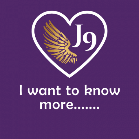 J9 Domestic Abuse Initiative - Alpha Vesta